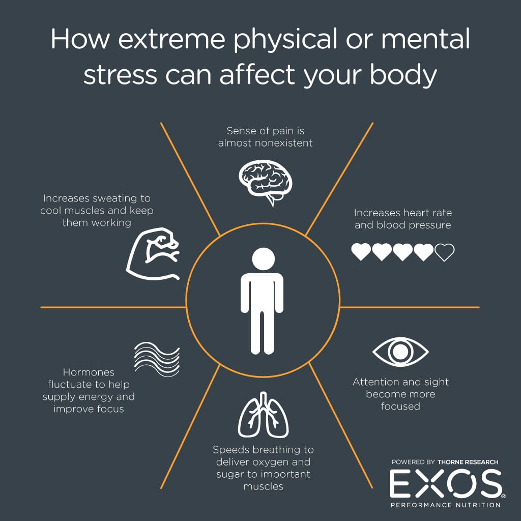 The Science of Stress - Mercy Fitness Center Edmond I35 The Science of Stress - Mercy Fitness Center Edmond I35